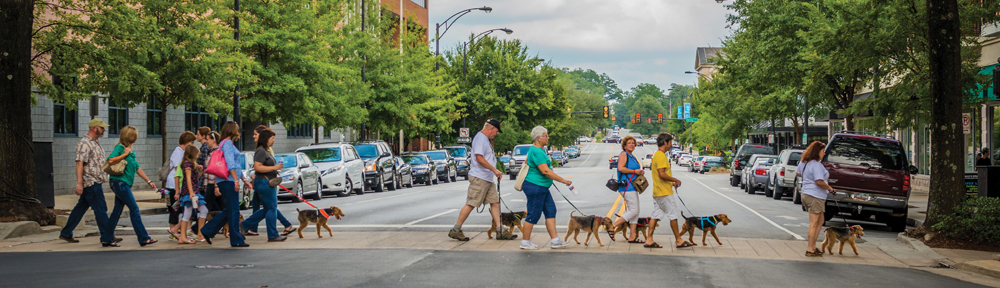 News & Information | WTCARES