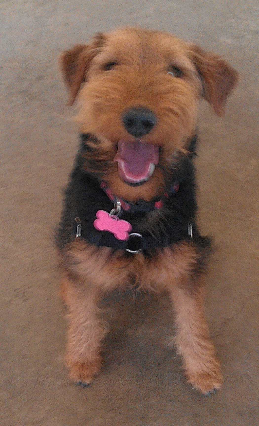 Molly smile | WTCARES