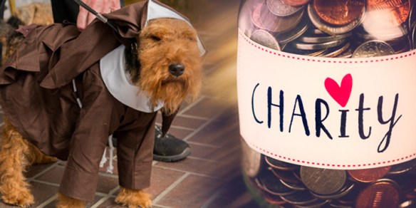 News & Information | WTCARES