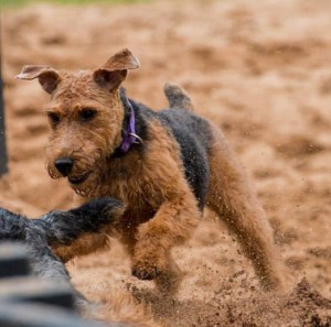 Nia’s Bright Light | WTCARES