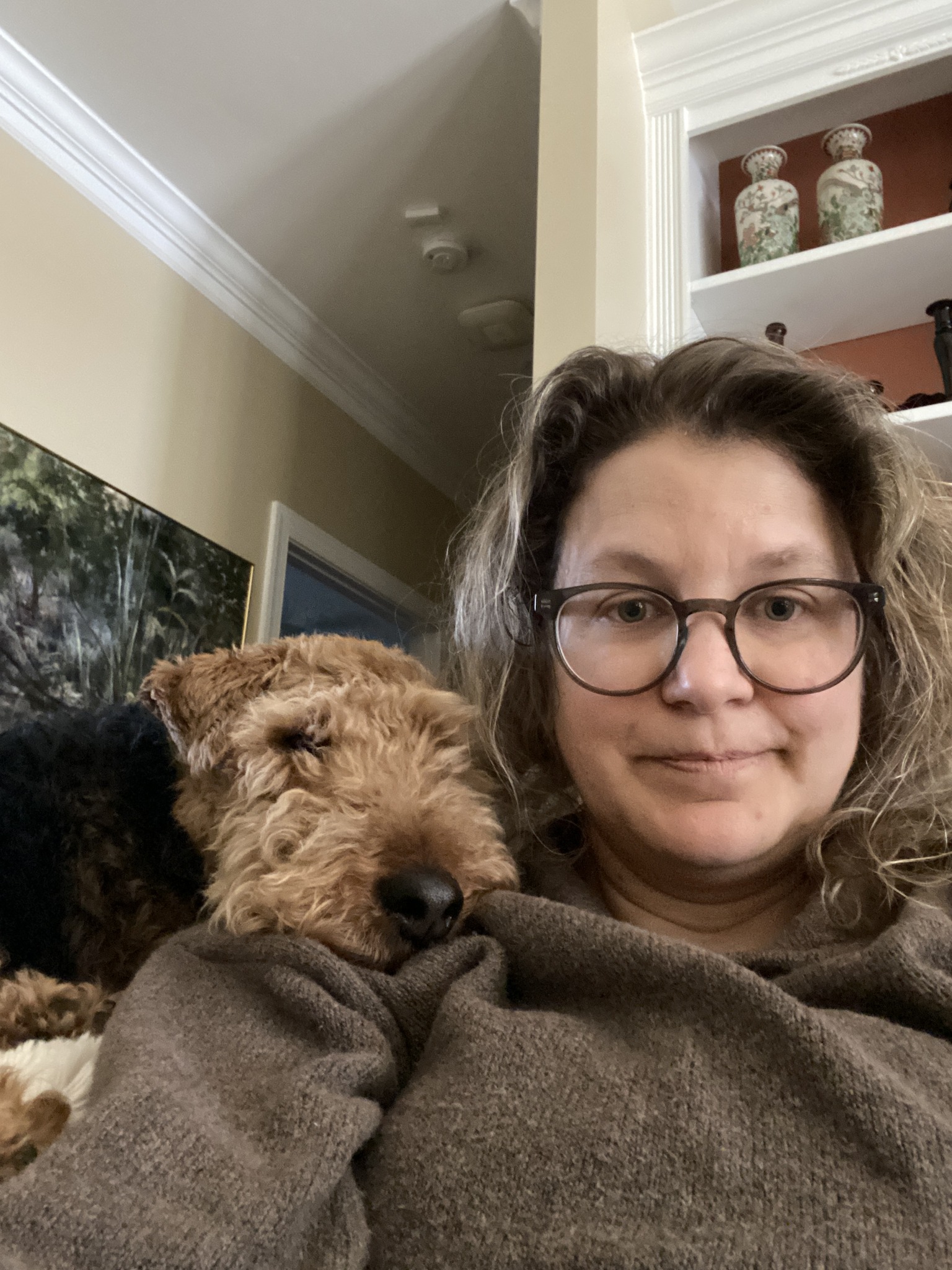 Available Welsh Terrier | WTCARES